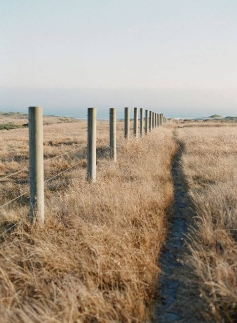 5 Best Mini-Moon Destinations for a California Mini Honeymoon | HauteFetes